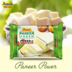 BEST 10 PANEER BRANDS IN USA - Trends We