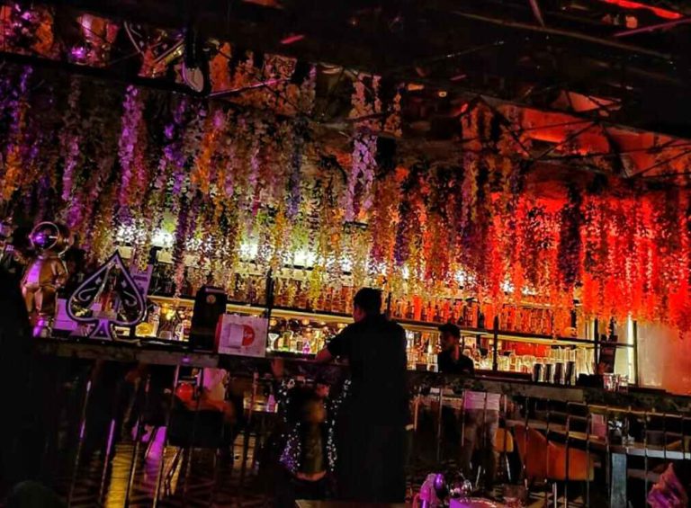 Top 8 Byob in Delhi | Trendswe
