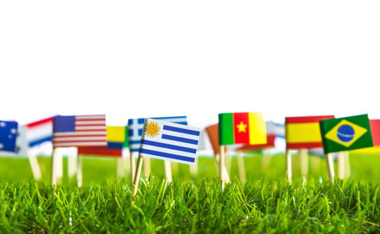 The Best Apps for Identifying World Flags on the Go - Trends We