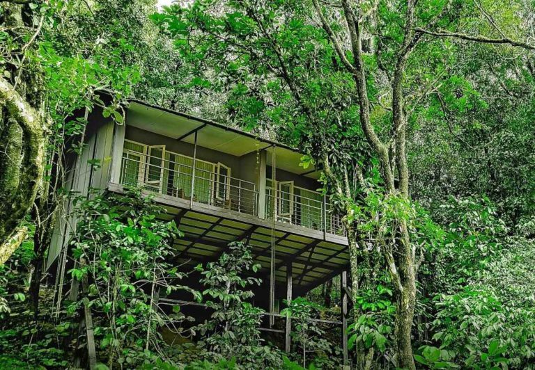 Best 8 wayanad resort with private pool | Trendswe